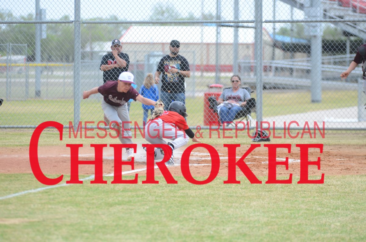 Area baseball, softball teams take part in tournaments, celebrate ...