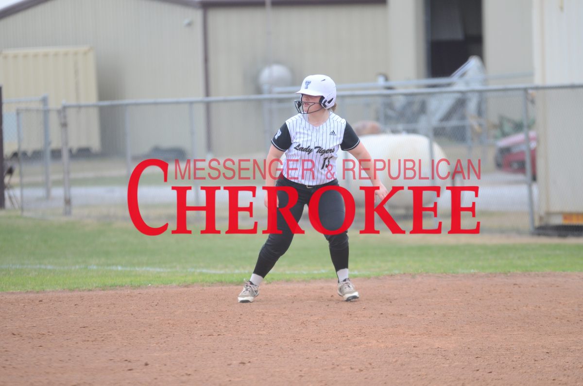 Area baseball, softball teams take part in tournaments, celebrate ...